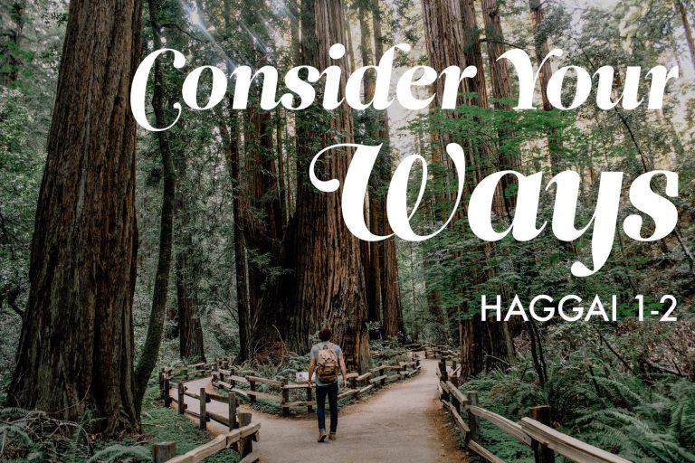 Yearly Examen – Consider Your Ways